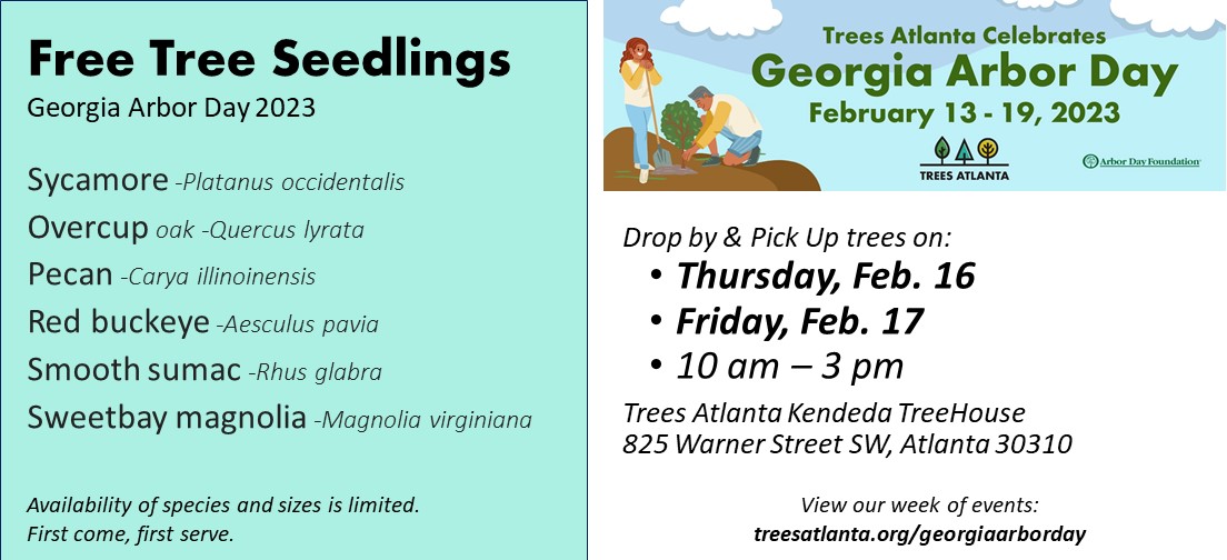 Georgia Arbor Day 2023 Celebration Week Feb. 13 – 19 | Trees Atlanta