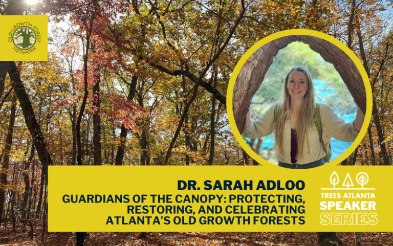 Georgia Arbor Day 2025 Celebration Week Feb. 14 – 22 | Trees Atlanta