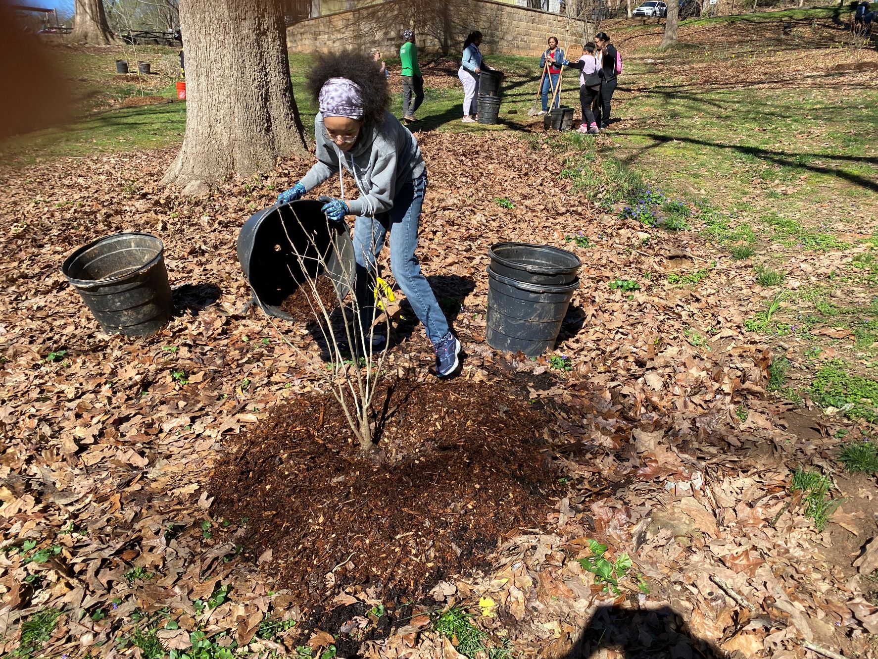 Events | Trees Atlanta